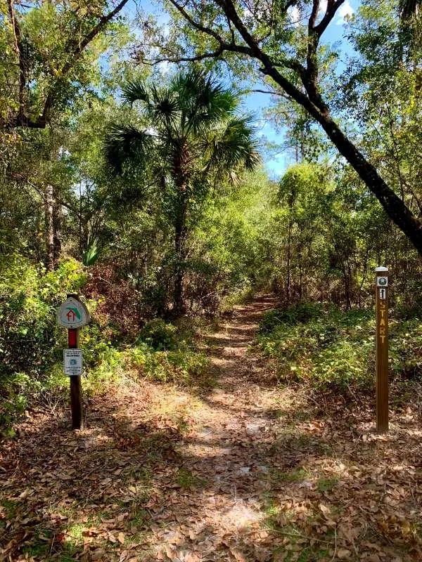 Understanding Hiking Trail Blaze Markers — Vacationing Vagabond