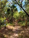 Understanding Hiking Trail Blaze Markers — Vacationing Vagabond