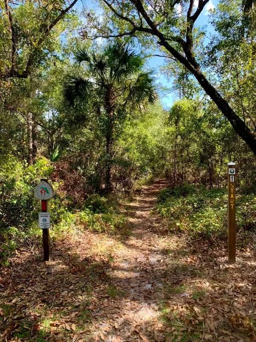 Understanding Hiking Trail Blaze Markers — Vacationing Vagabond