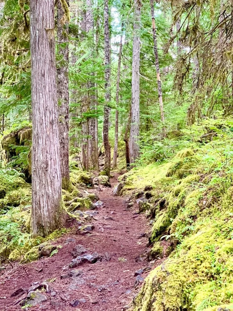 Ultimate Guide to Oregon's Cascade Range: Crater Lake, Umpqua Hot ...