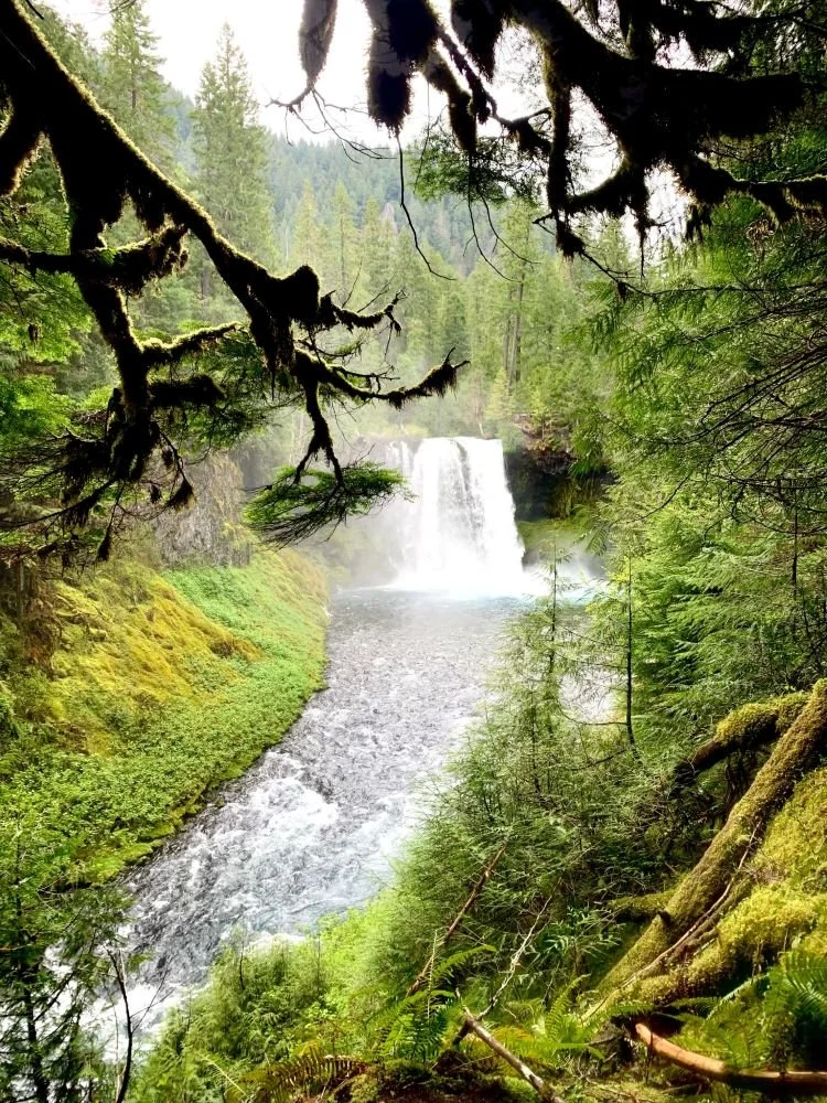 Ultimate Guide to Oregon's Cascade Range: Crater Lake, Umpqua Hot ...
