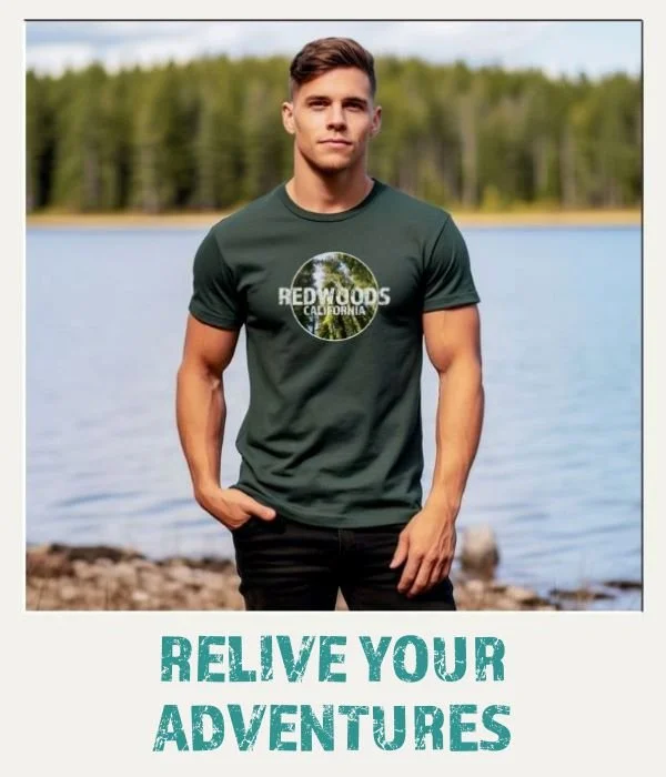 Vacationing Vagabond