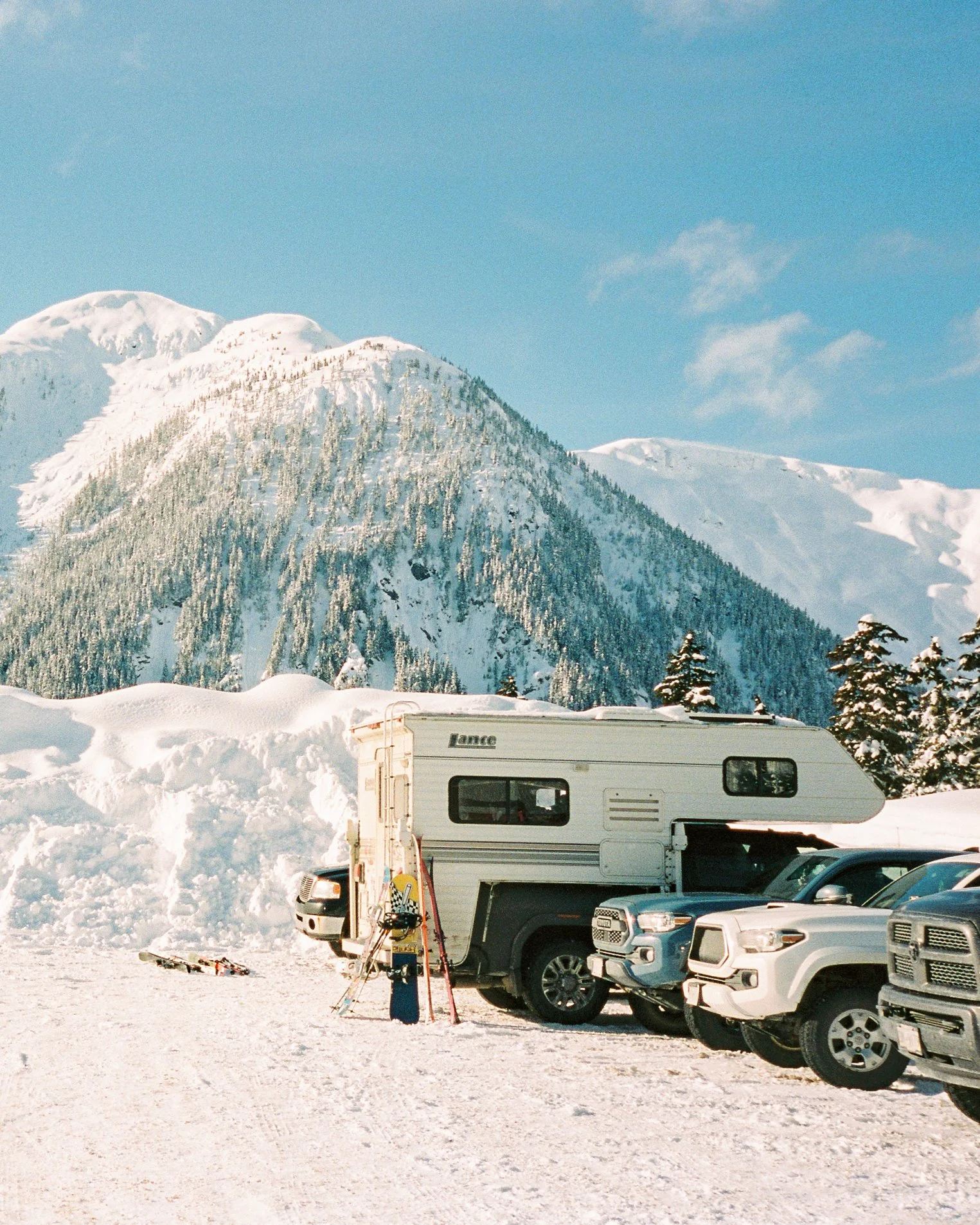 christie fitzpatrick