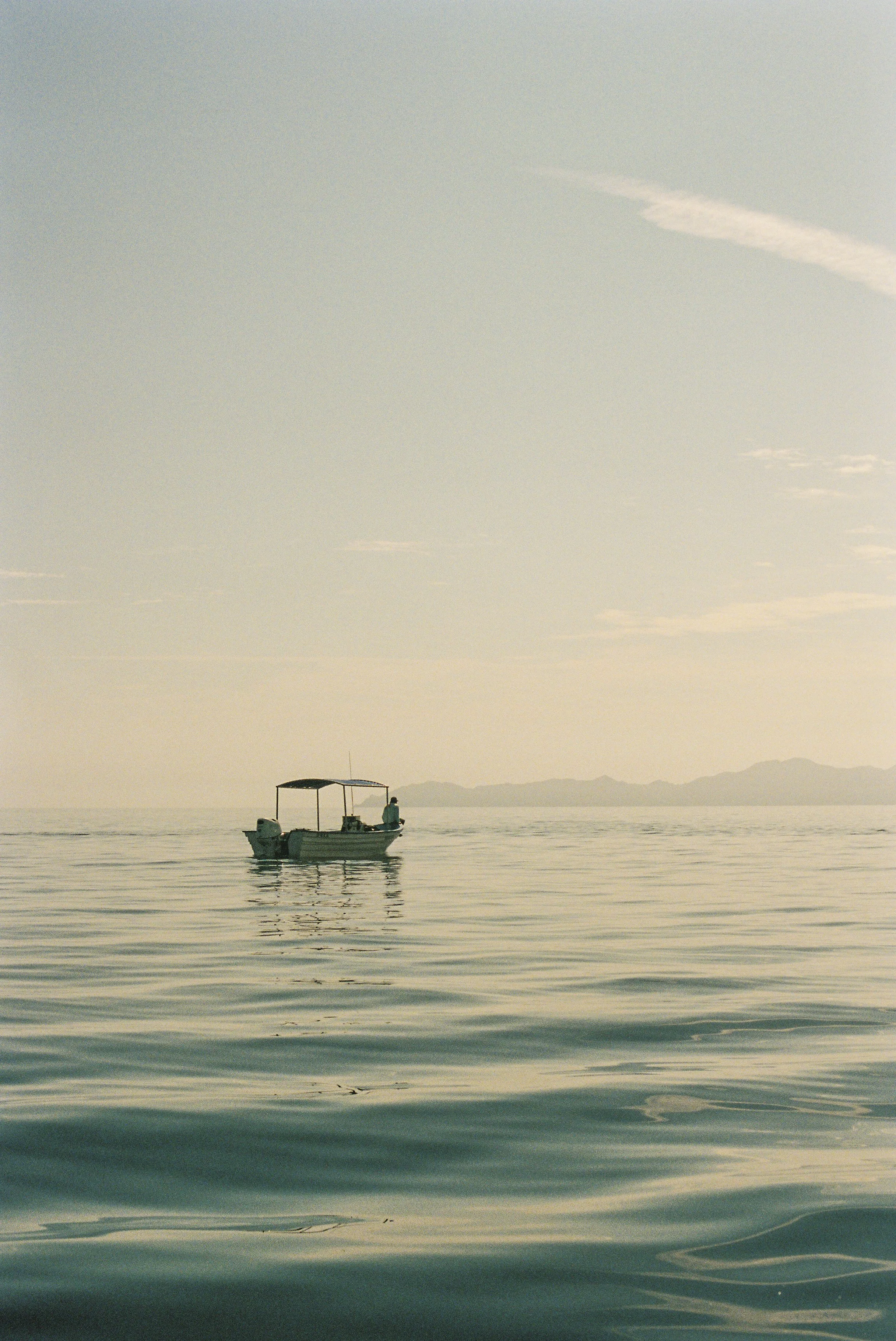 christie fitzpatrick