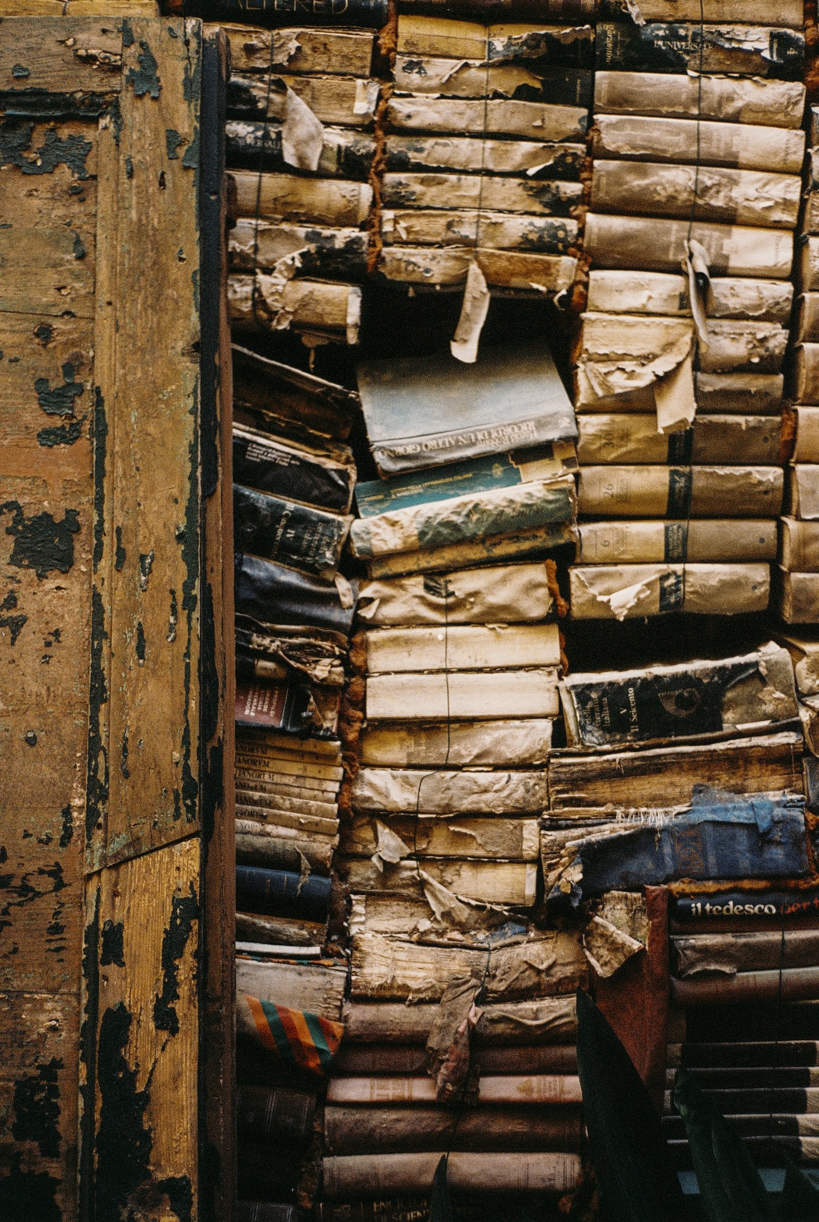 christie fitzpatrick