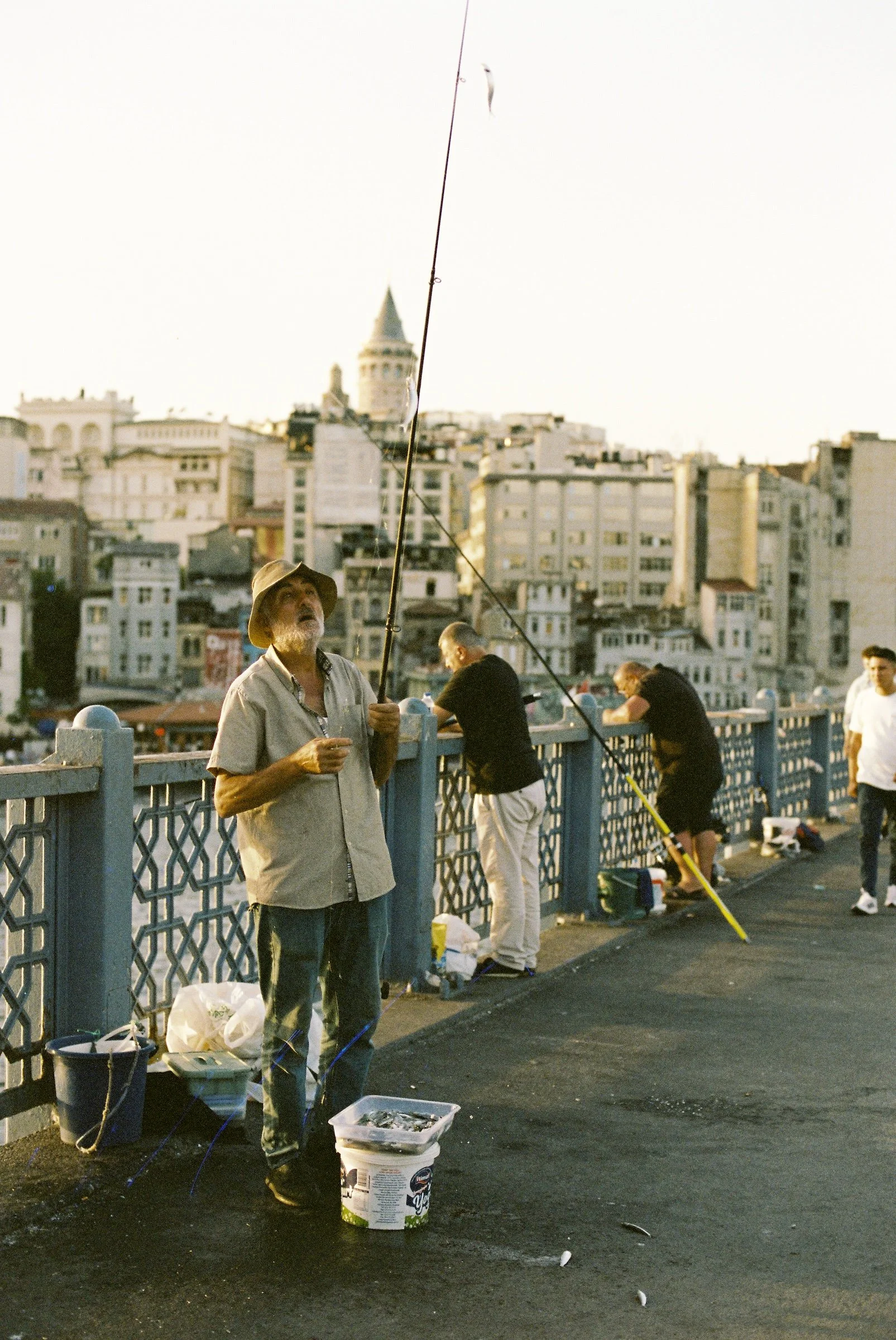 christie fitzpatrick