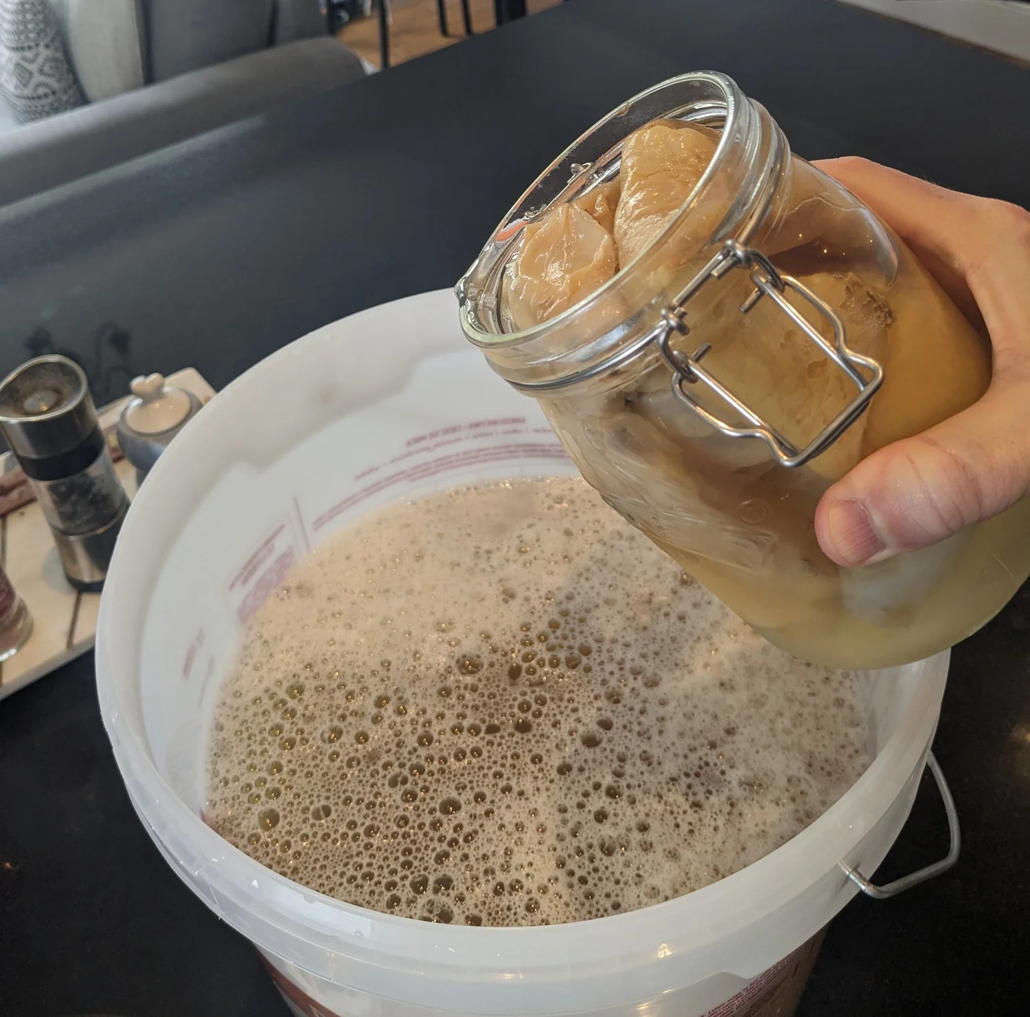 How to make kombucha: a beginner’s guide — Hello Gut Health