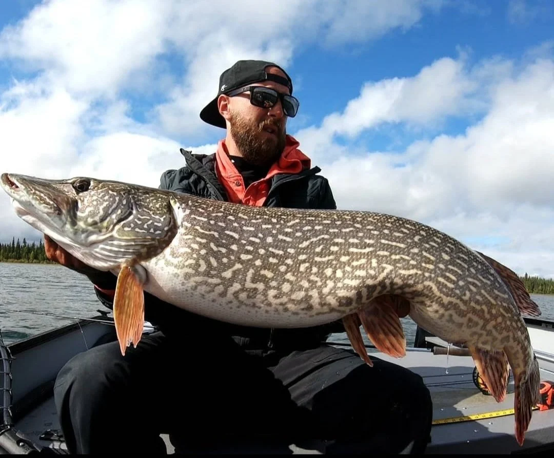 Blackjack Fishing