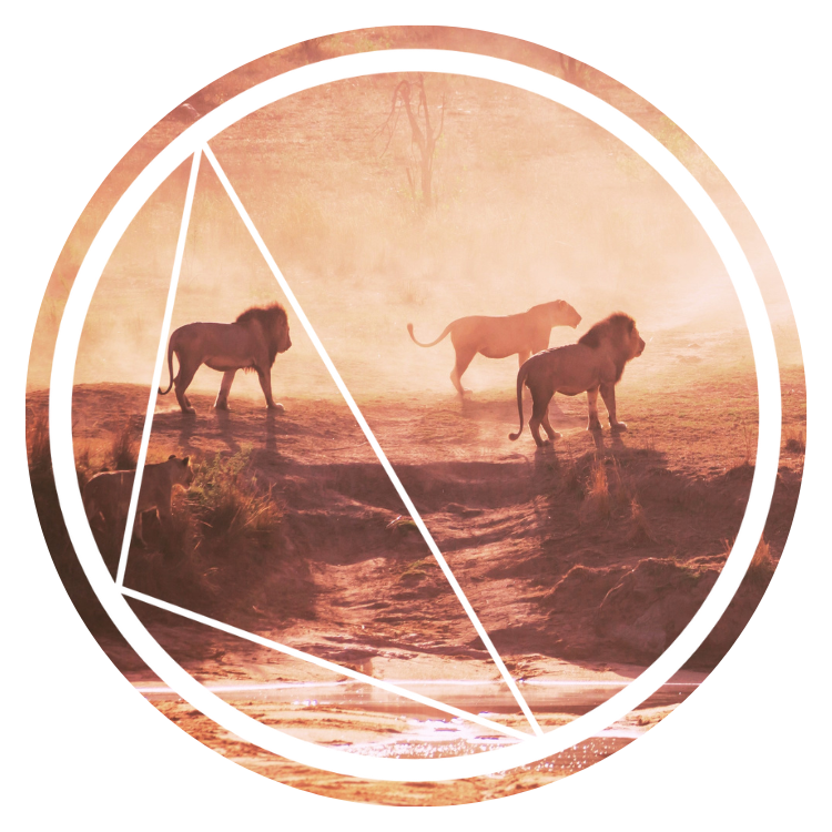 Enneagram Triads: The Harmonics — stephanie j spencer