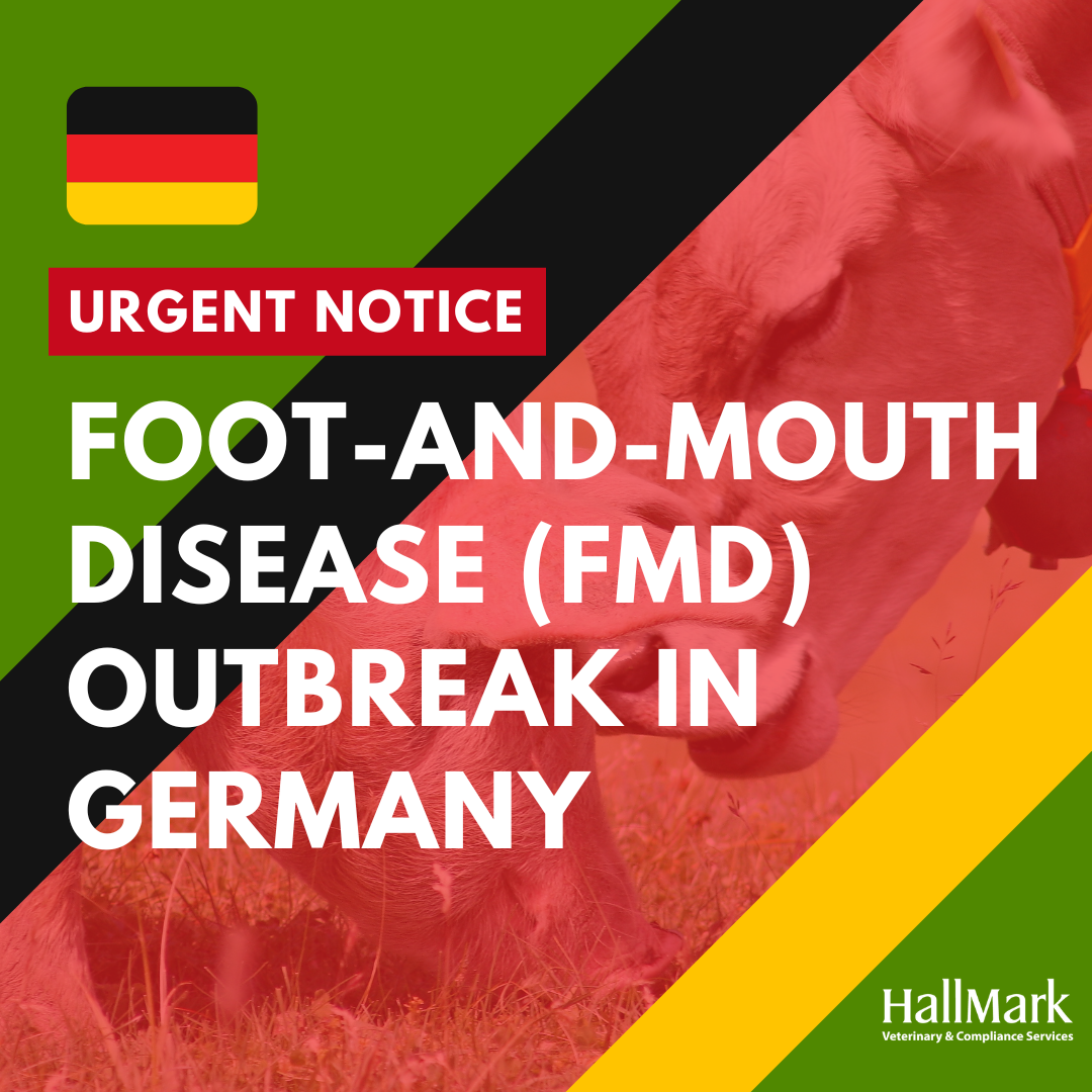 Urgent Alert: Foot-and-Mouth Disease Outbreak in Germany – Key Guidance ...