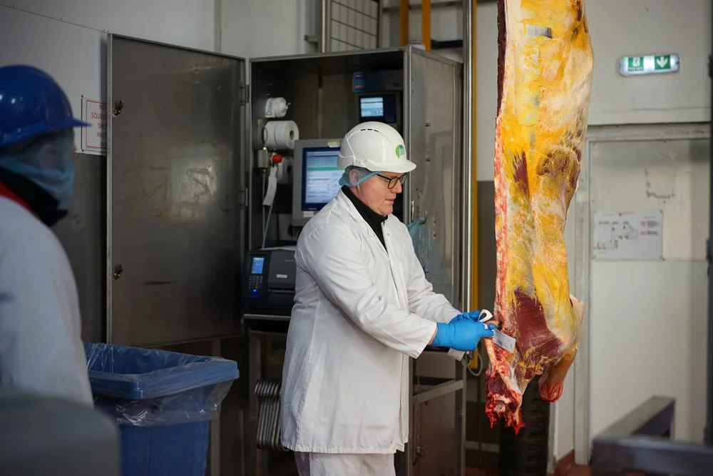 Official Controls & Meat Inspection Services | Hallmark Veterinary ...