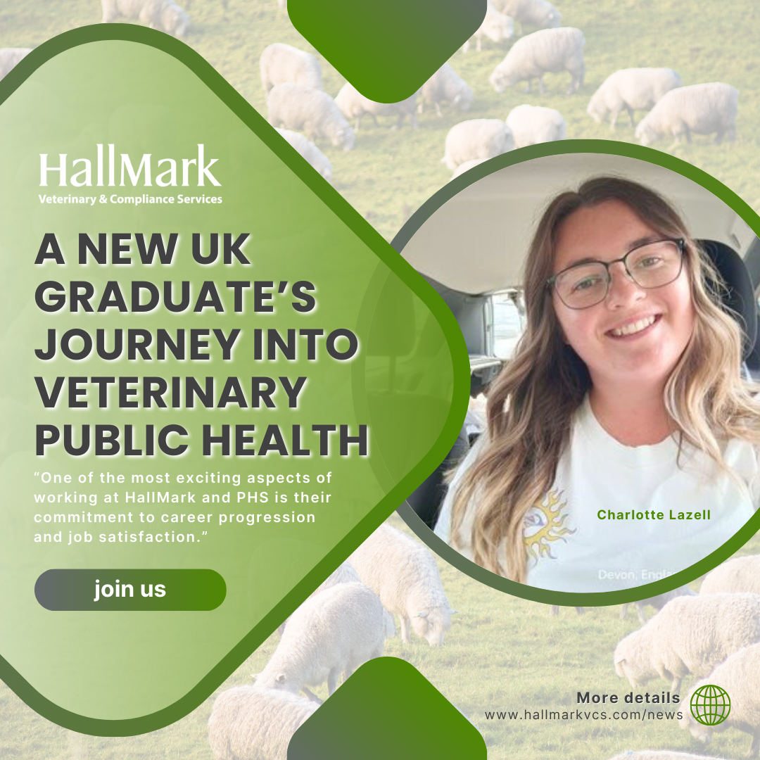 Why I Chose HallMark: A UK Vet Graduate’s Journey into Public Health ...
