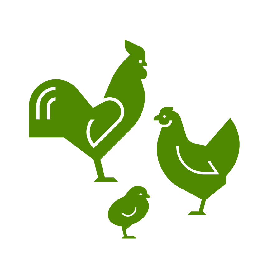 HallMark Veterinary Consultants: Your Resource for Veterinary Export ...