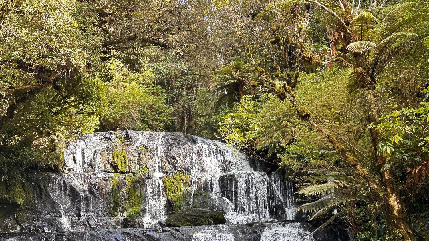 Services — Action Engineering