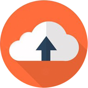 What We Do — Petram Analytics