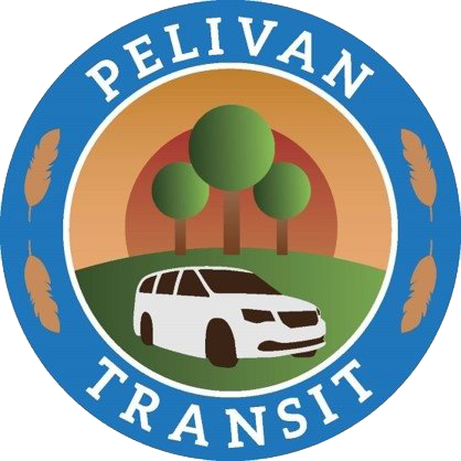 Pelivan Story — Pelivan