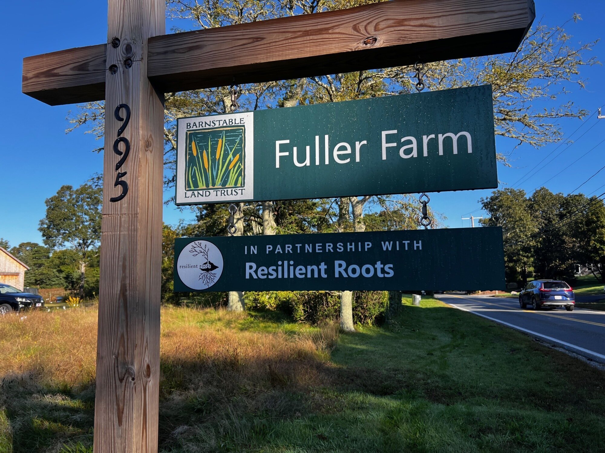 General 5 — Resilient Roots