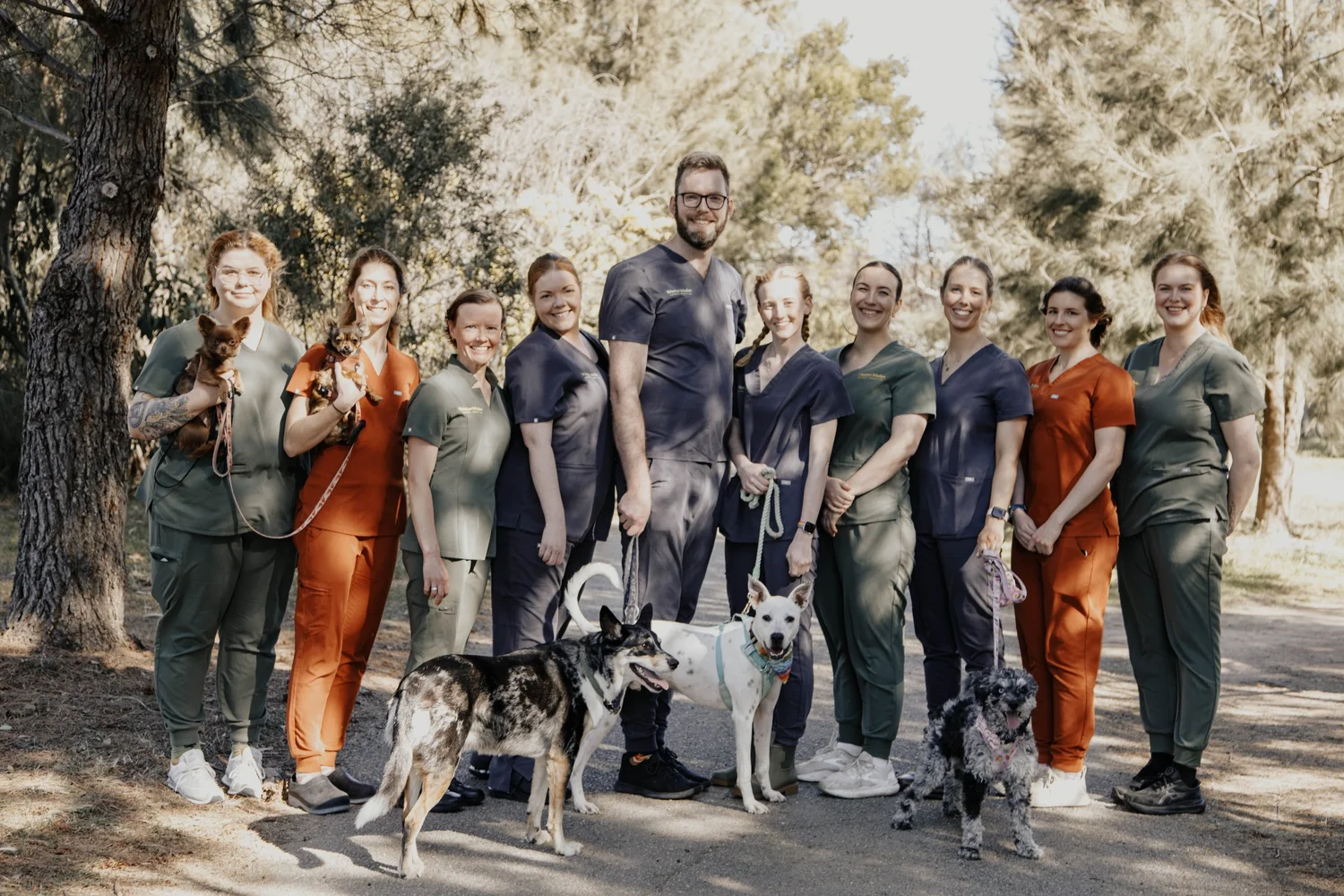 Our team of qualified professionals includes Veterinarians, Nurses and ...