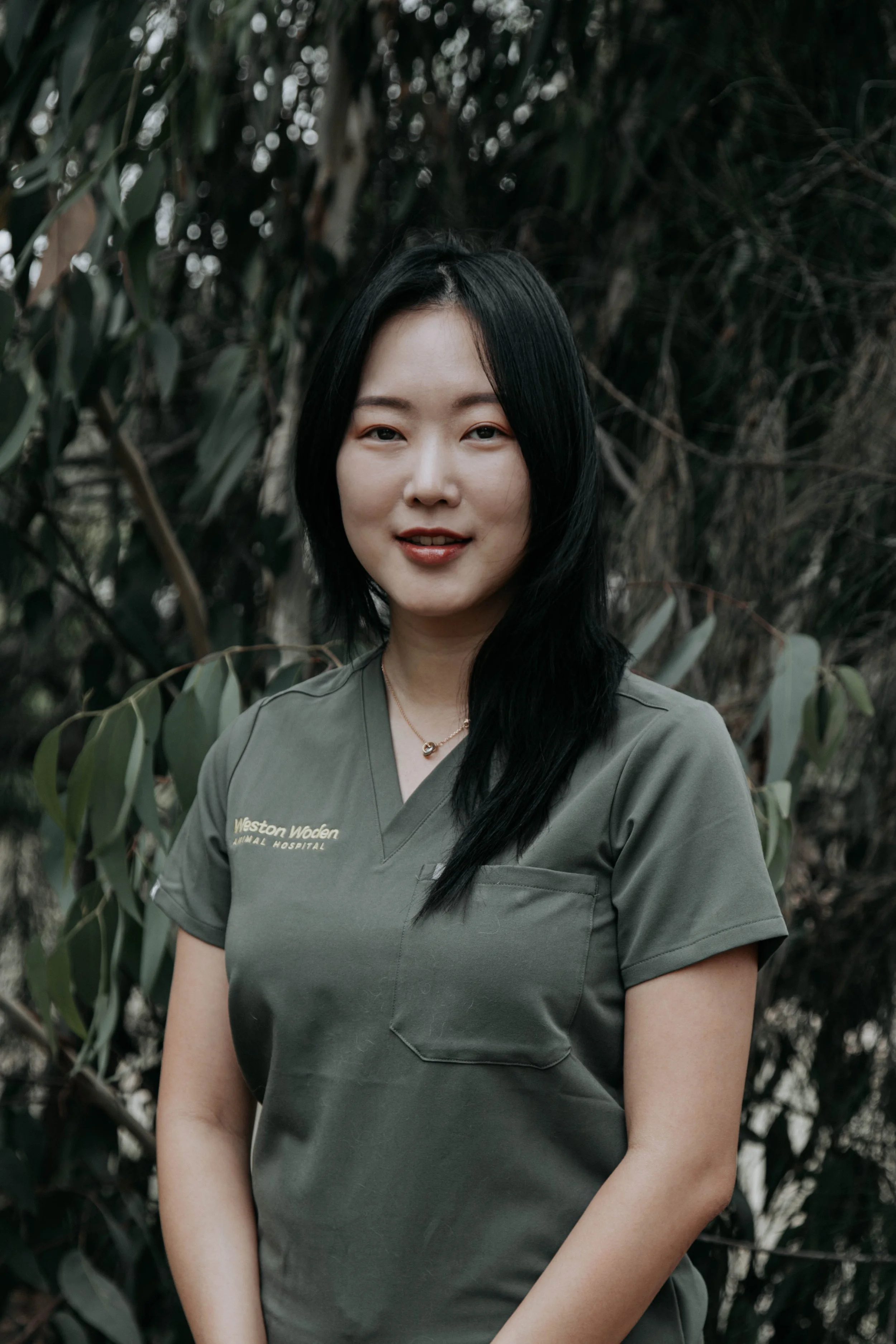 Our team of qualified professionals includes Veterinarians, Nurses and support staff — Weston ...