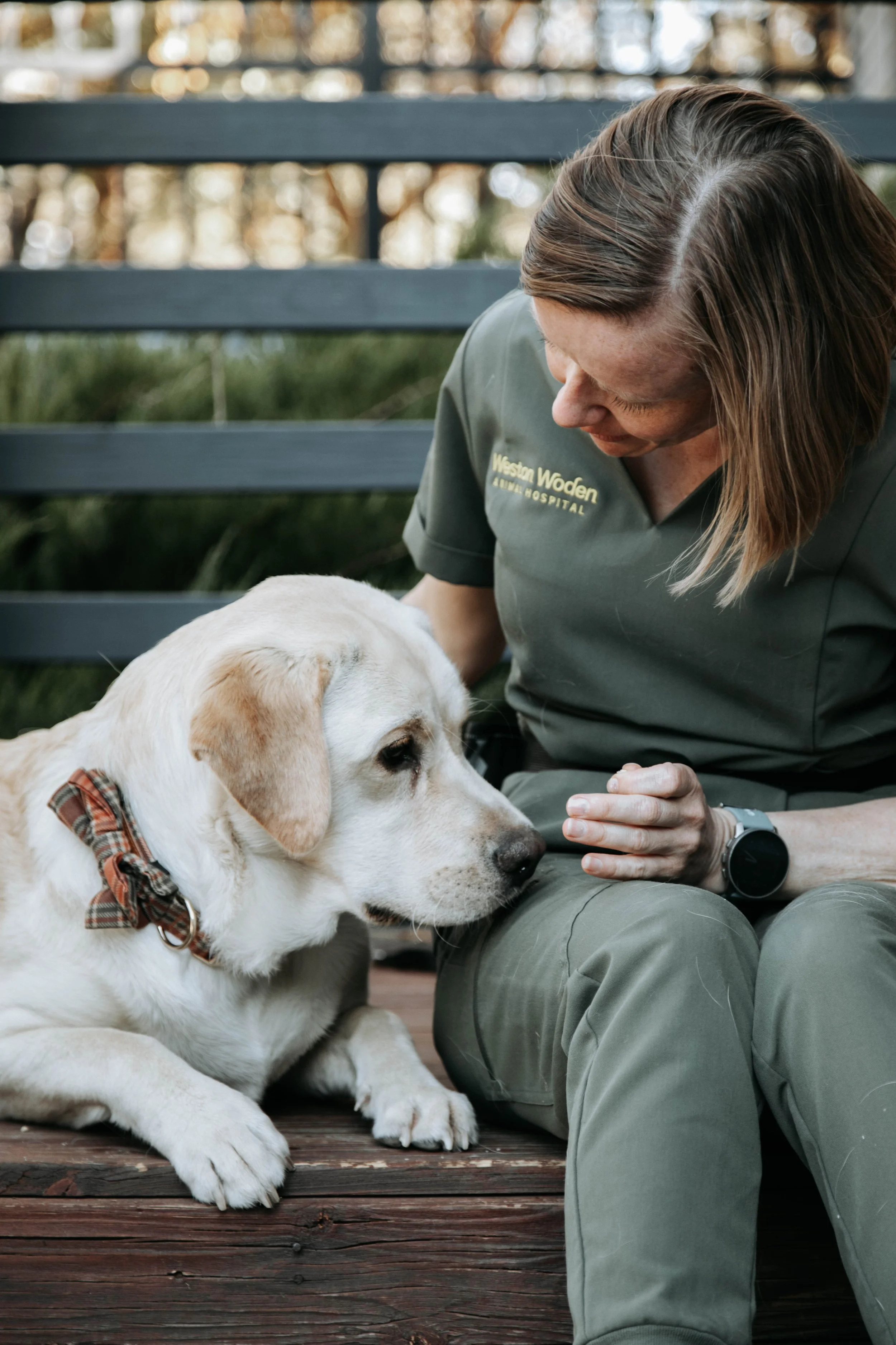 Weston Woden Animal Hospital