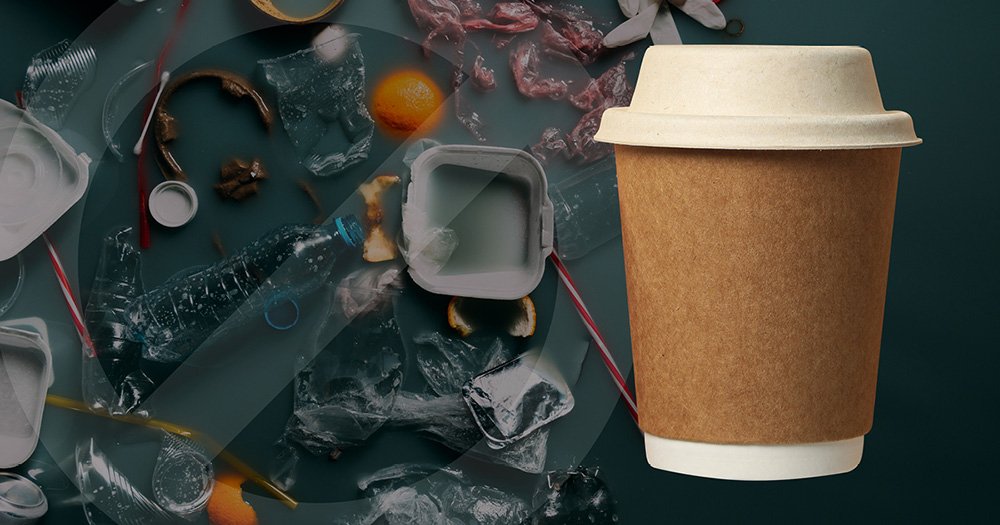 Food Packaging Bans Across Australia and New Zealand: A Comprehensive ...