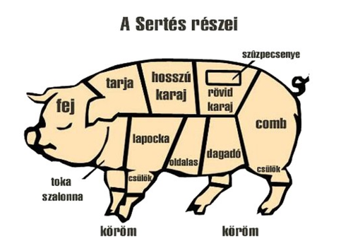 Discover the Tradition of 'Diznovagas': A Hungarian Pig Slaughter ...