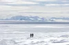 Antarctic Polar Race - Antarctica Athletics Championships