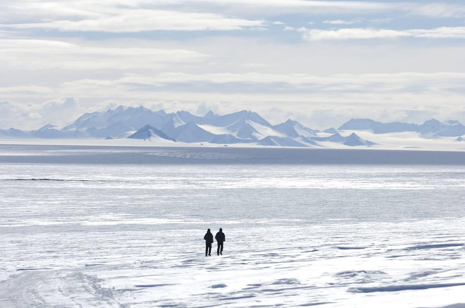Antarctic Polar Race - Antarctica Athletics Championships