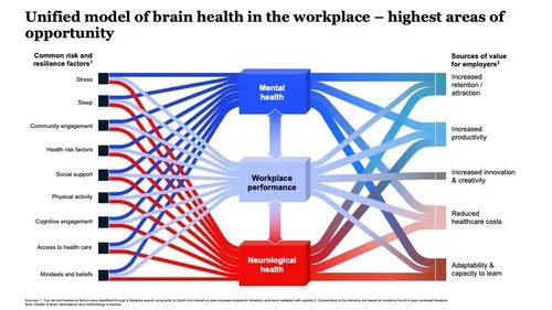 Nine Levers to Build Brain Capital in the Workplace | The Business ...