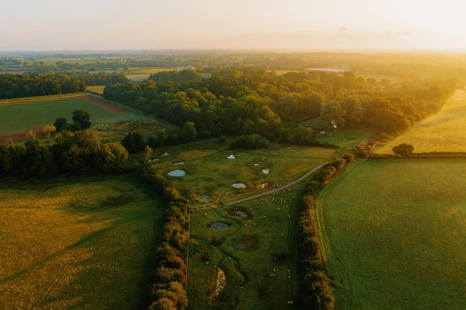 Aviva Access to Nature Fund