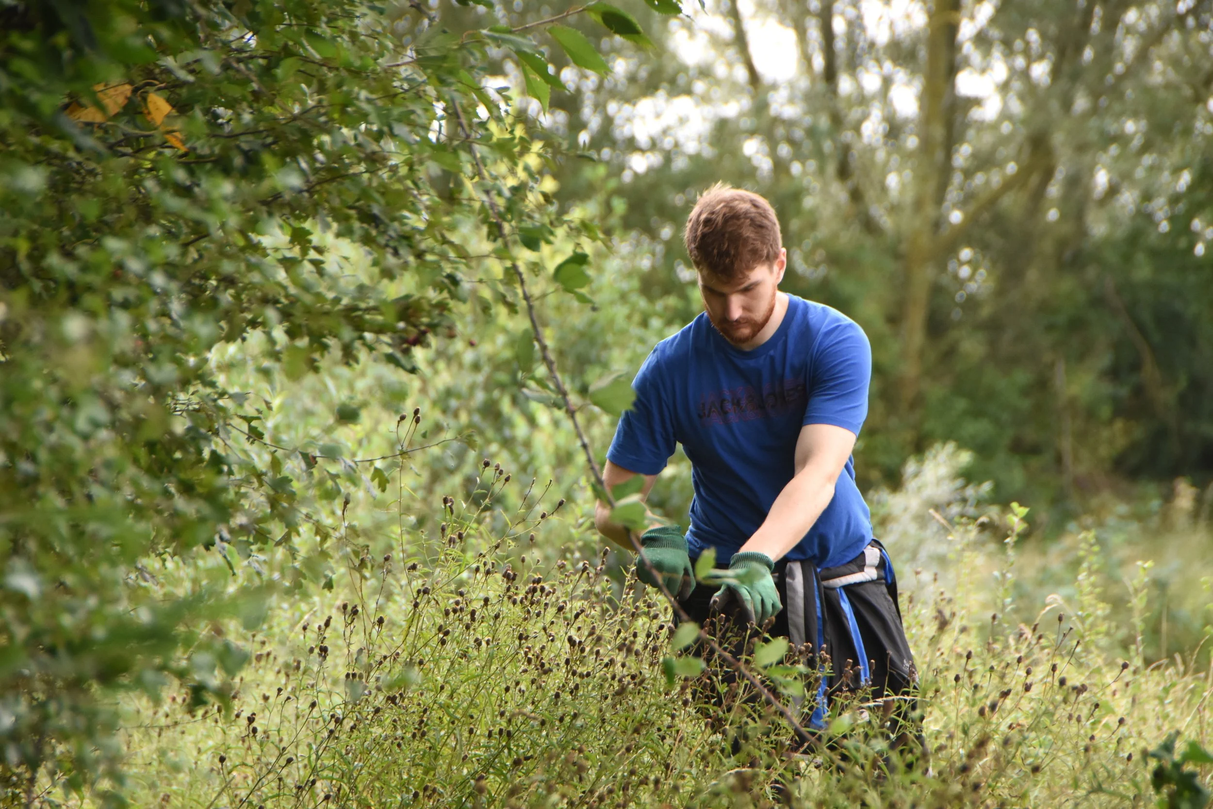 Aviva Access to Nature Fund