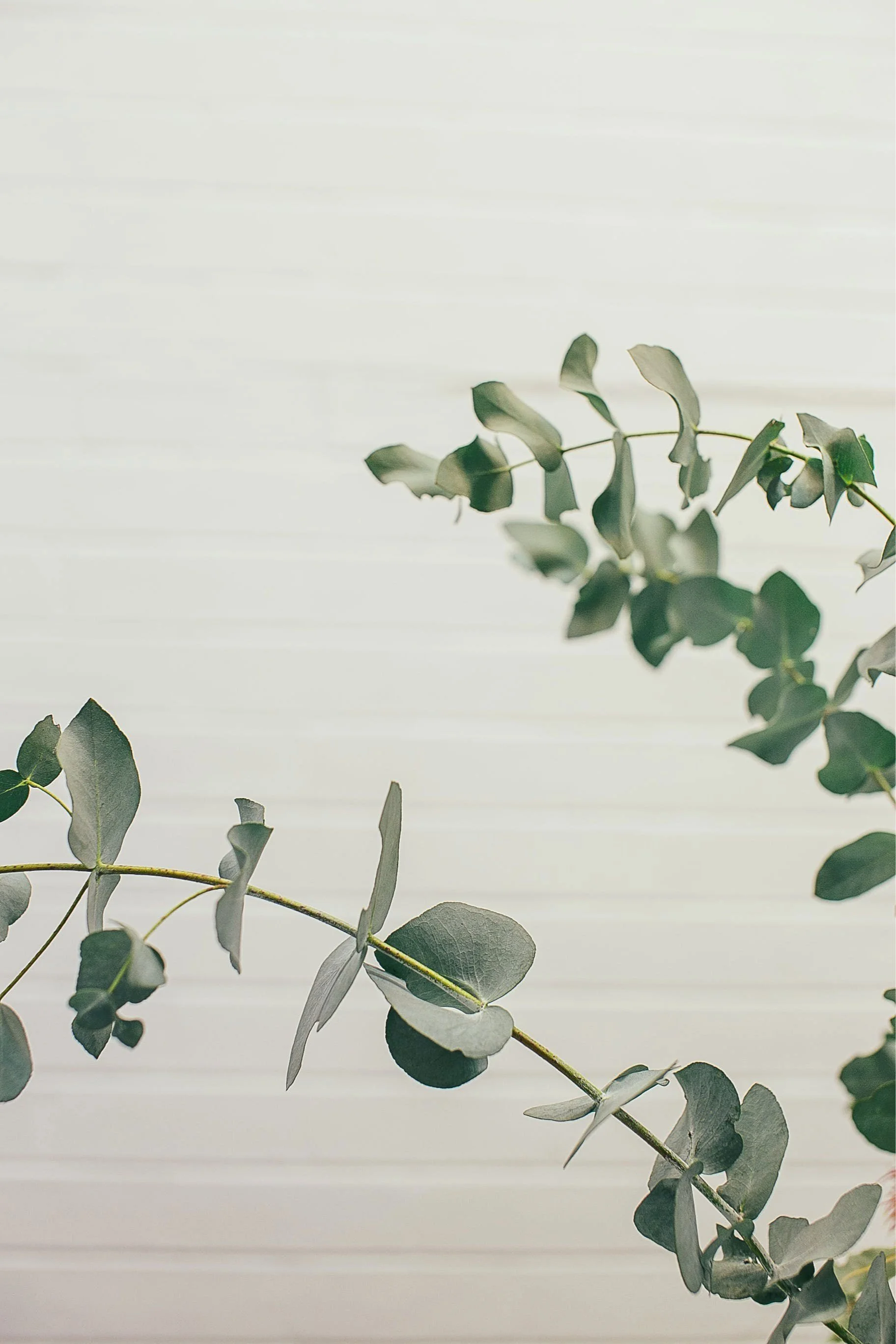 The Zen Den | Massage Studio | RMT Ottawa, Ontario