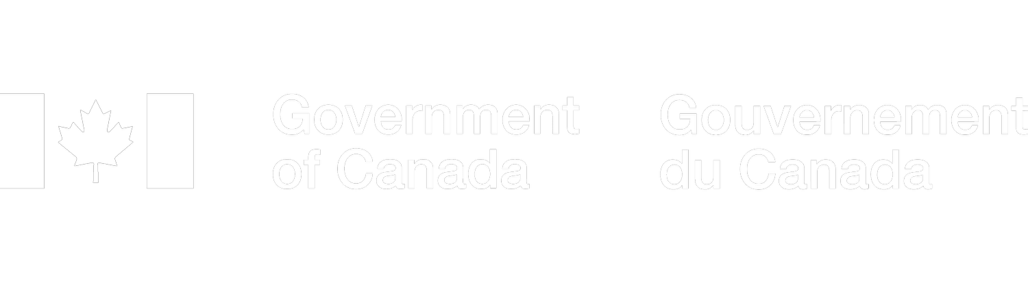 Canadian Digital Media Research Network