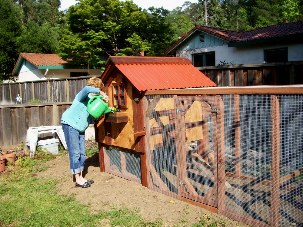 Happy Coops for Happy Chickens