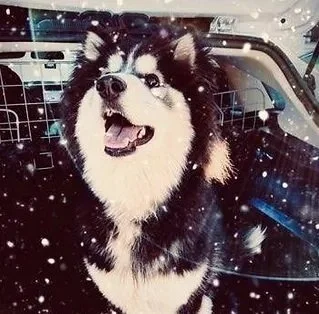 Timbers Soccer Club - Official Website