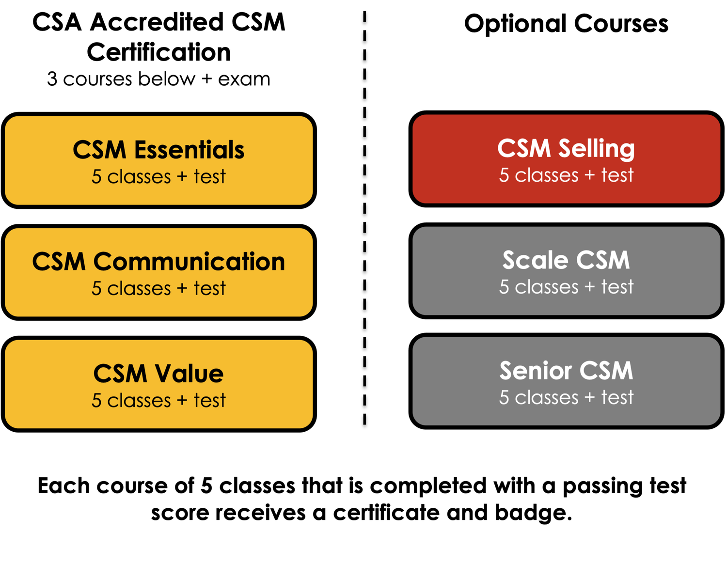 CSM Certification — The Success League