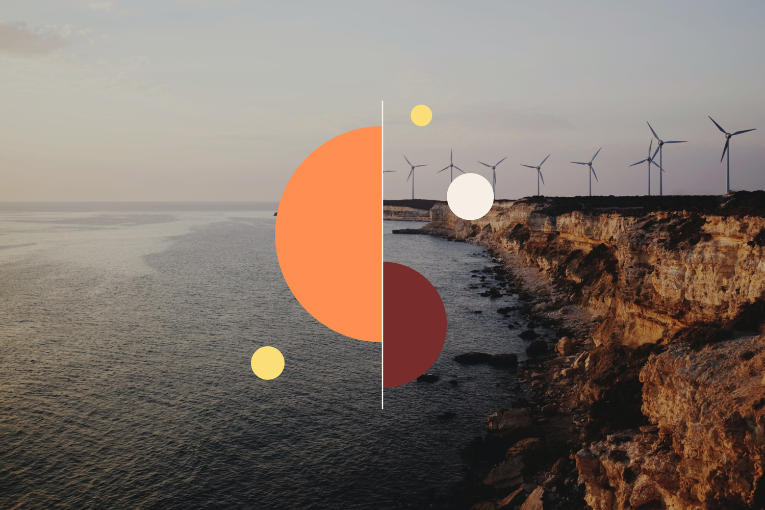 How to Actually Create an Organizational Learning Plan — Convive Collective