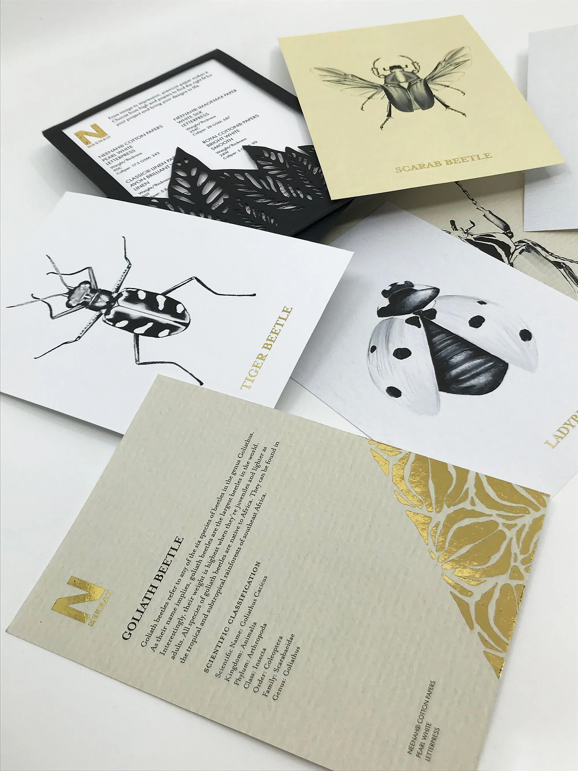 Neenah Paper Promotion — Gracie Rubringer | Graphic Designer
