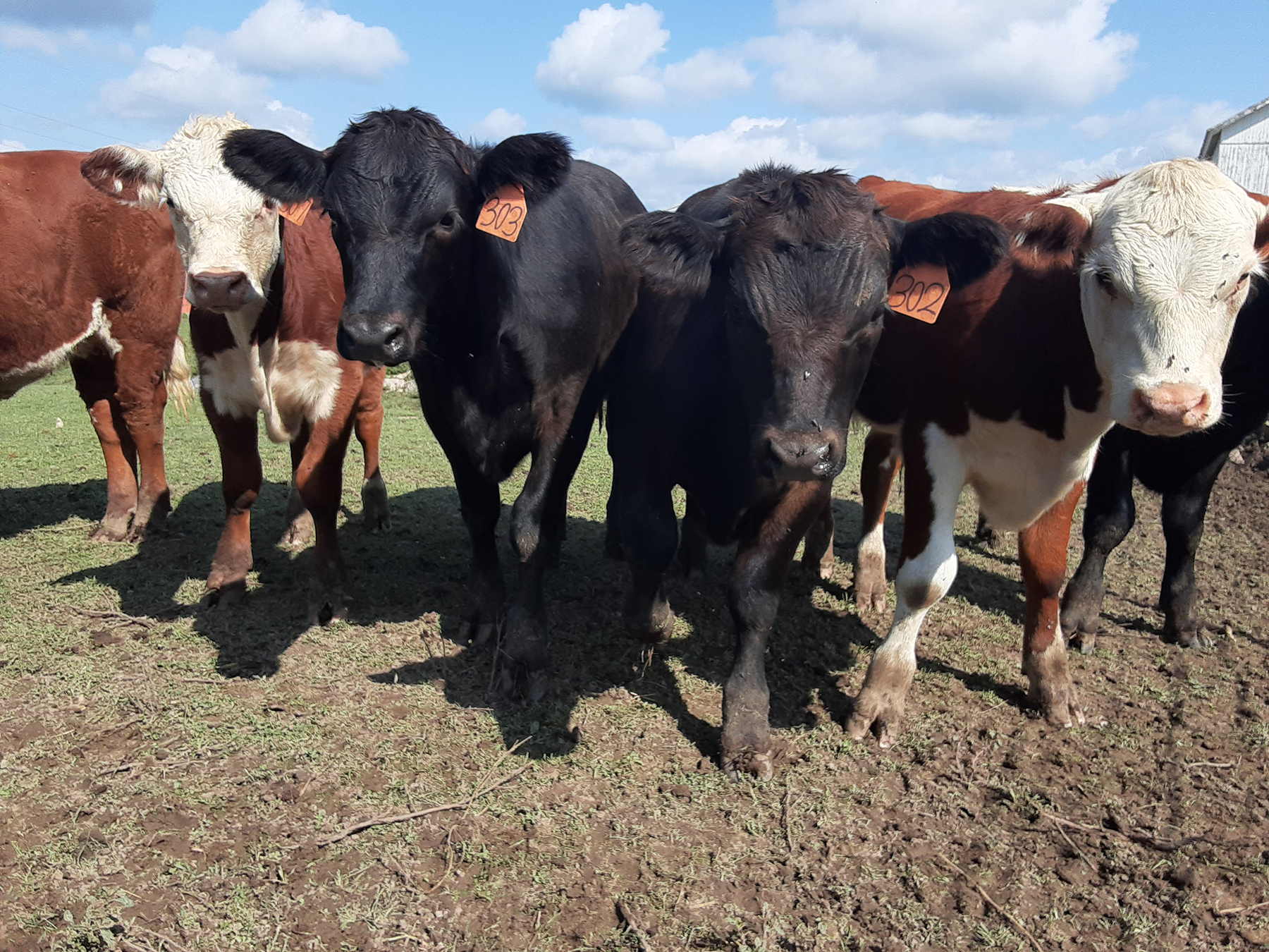 Fagan Family Farm