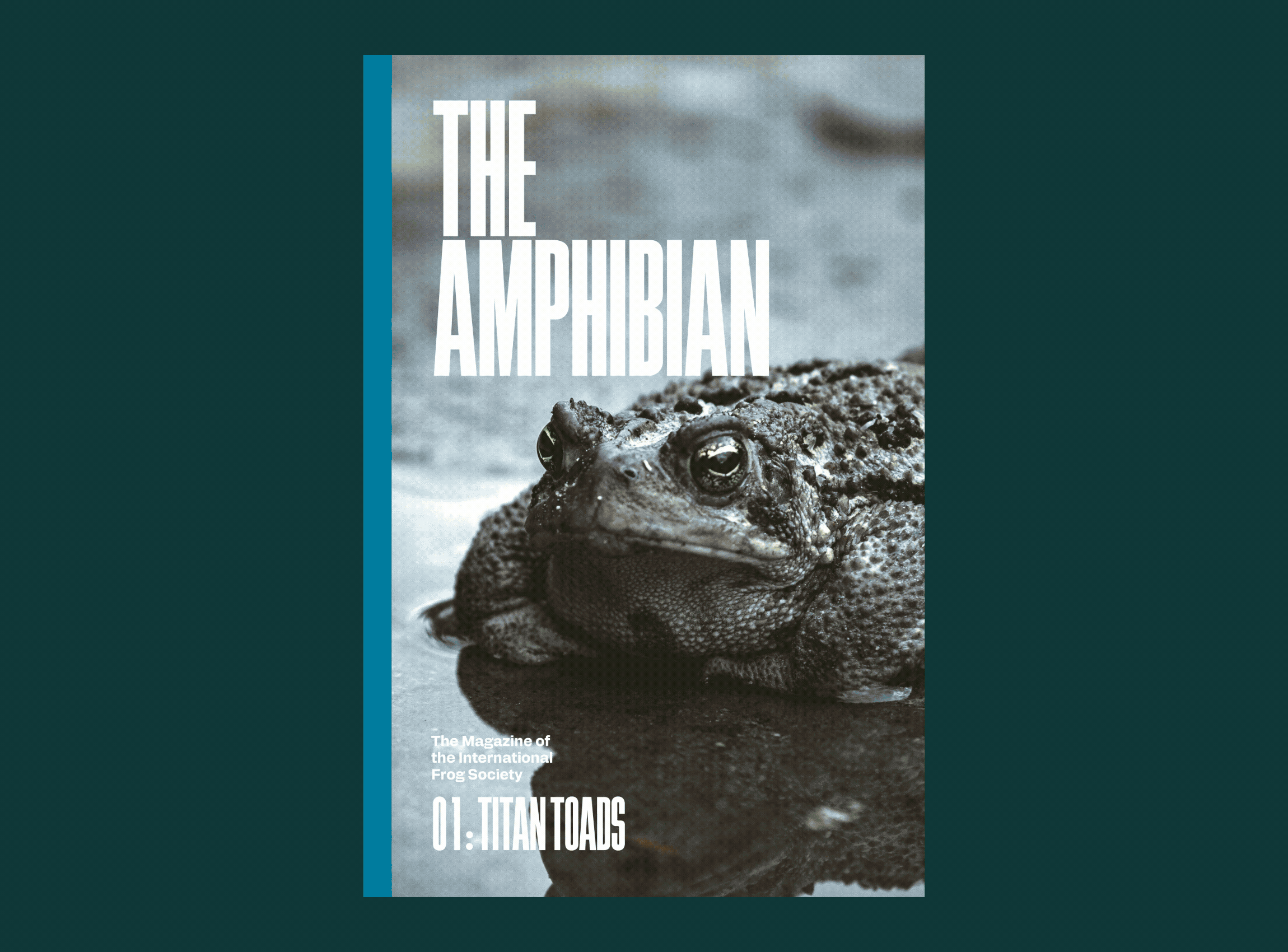 The Amphibian — acadeco