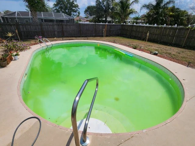 SKIM & TRIM POOL & LAWN