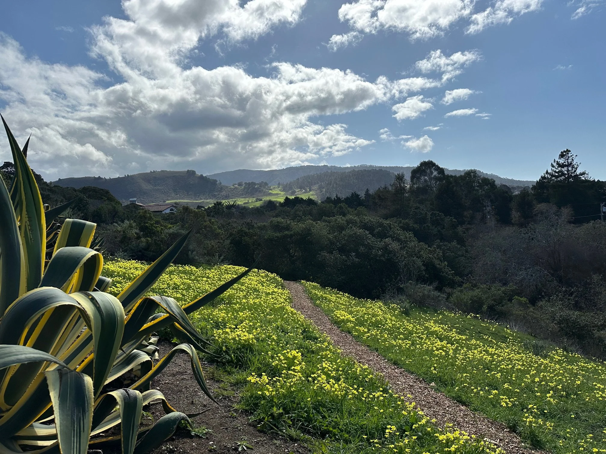 Mission Trail — Bridge to Everywhere