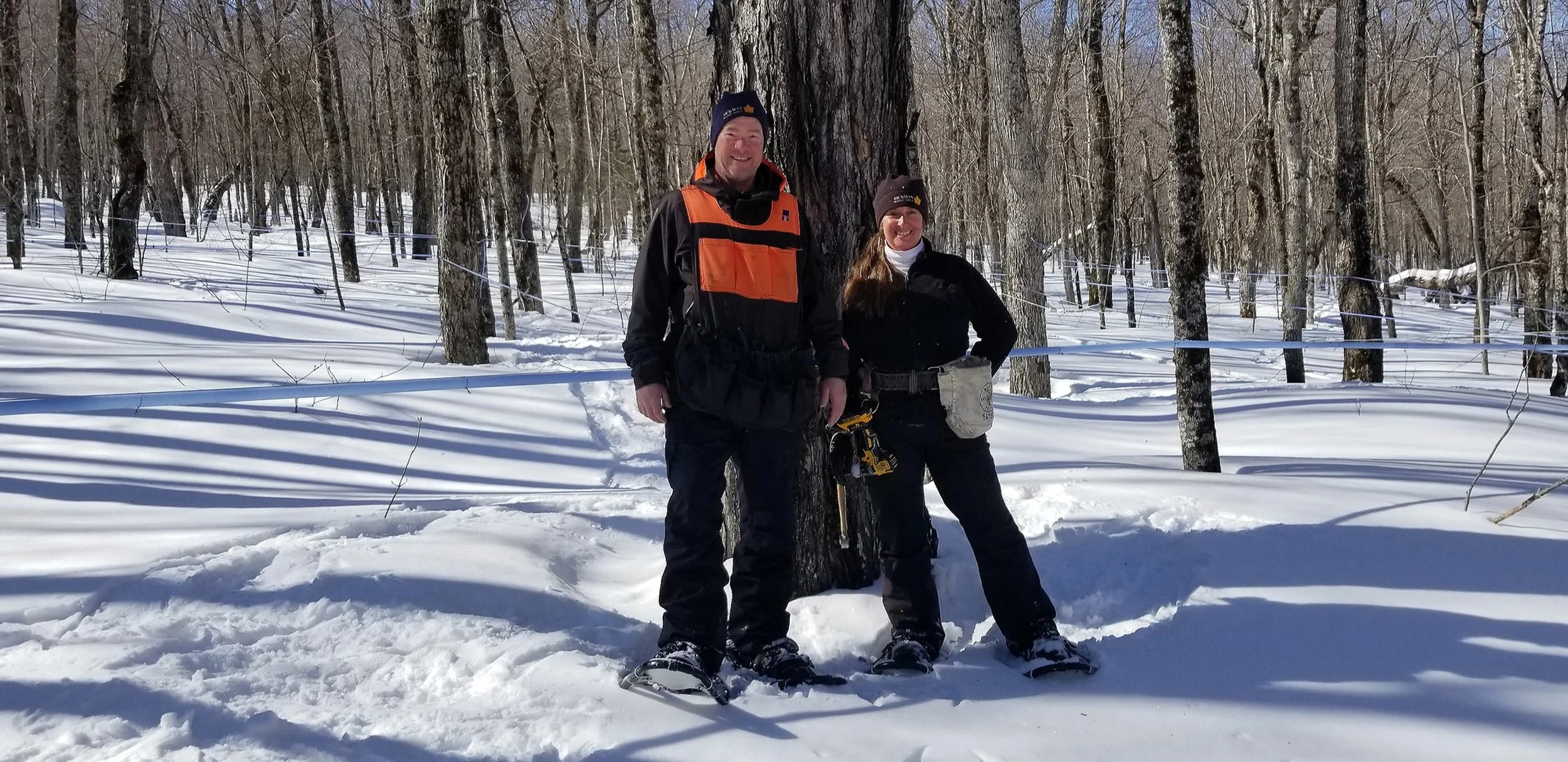 About — Jackman Maple