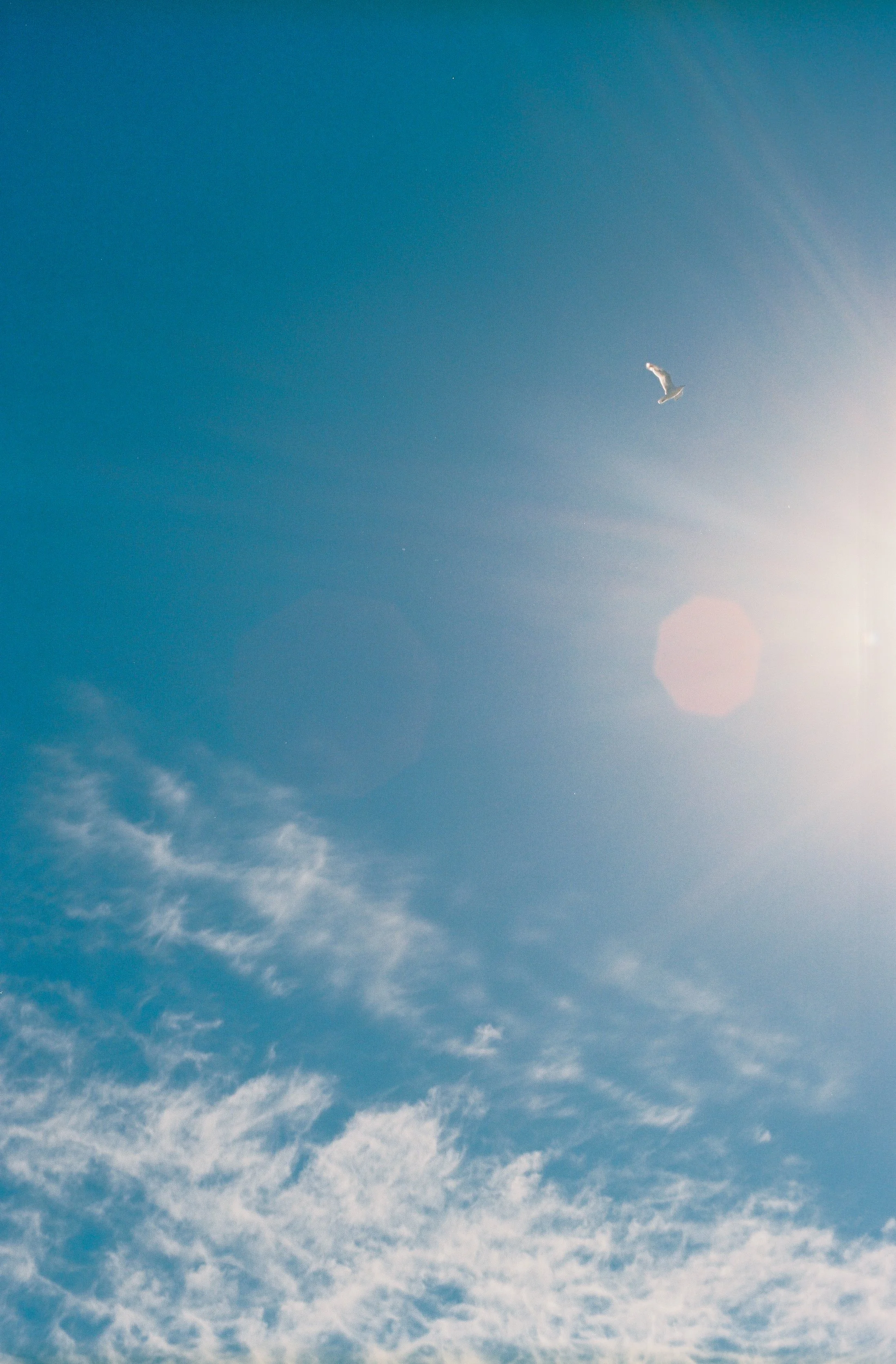 Integral Alchemy Counselling