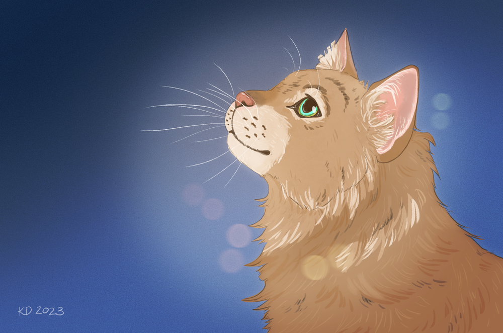 What is Whisker Fatigue, and How Can You Help Your Cat? — The Hervey ...