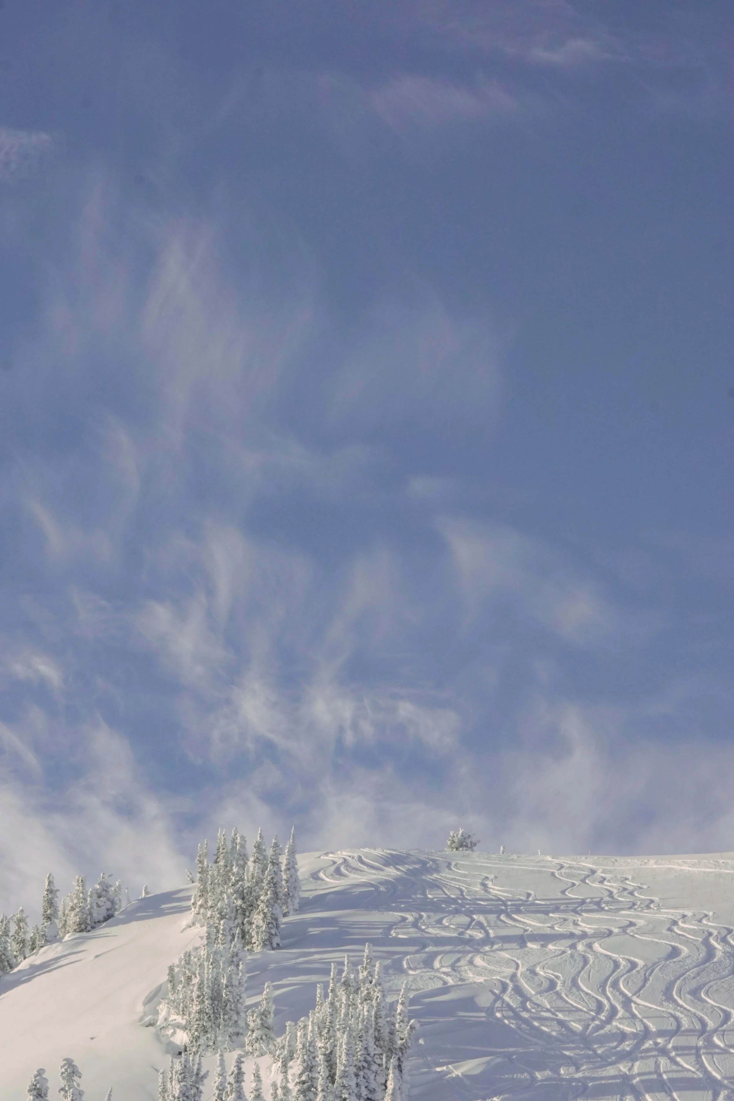 Services — Windline