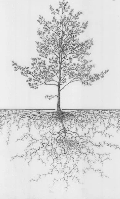 Our Impact — North End Woodlands