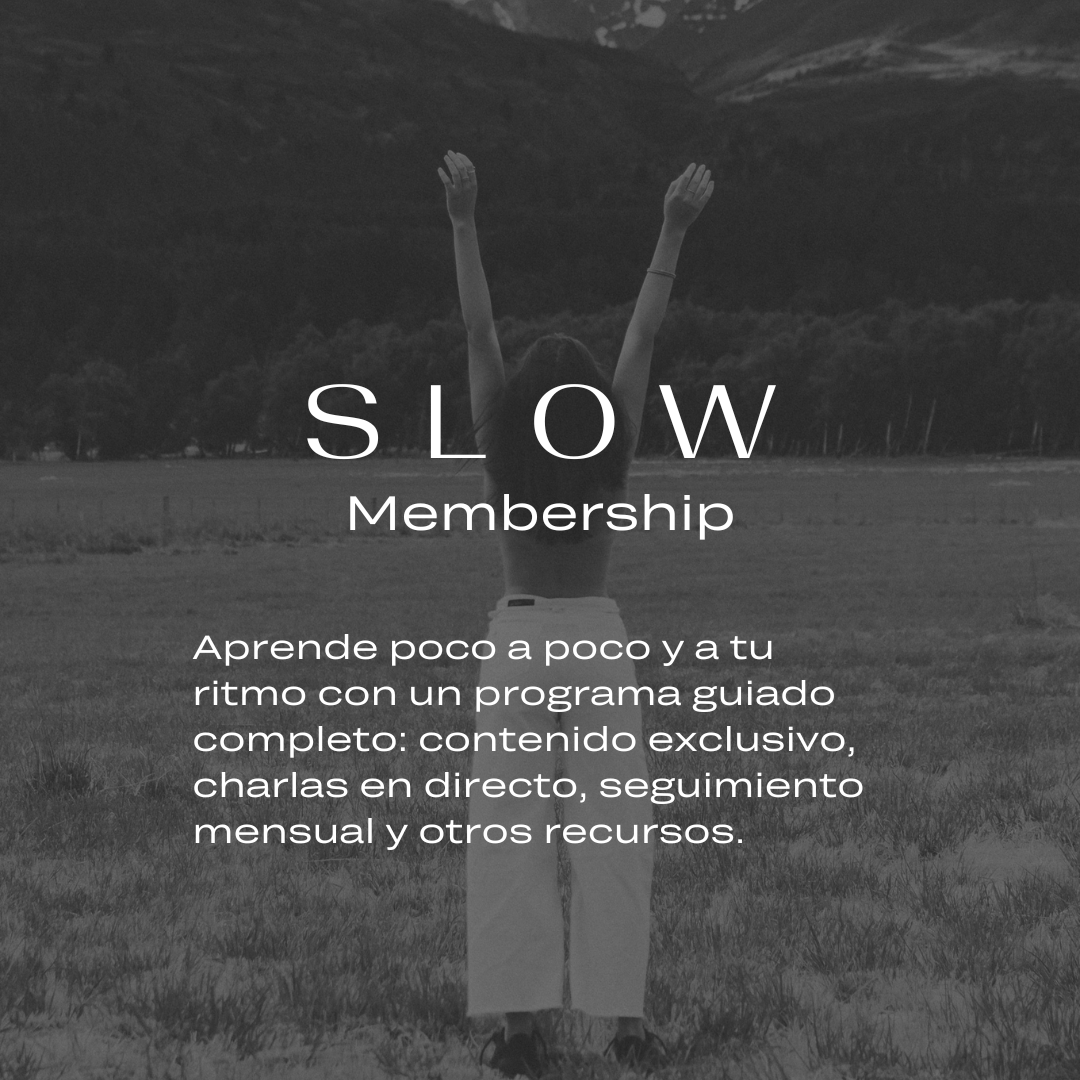 The Slow House