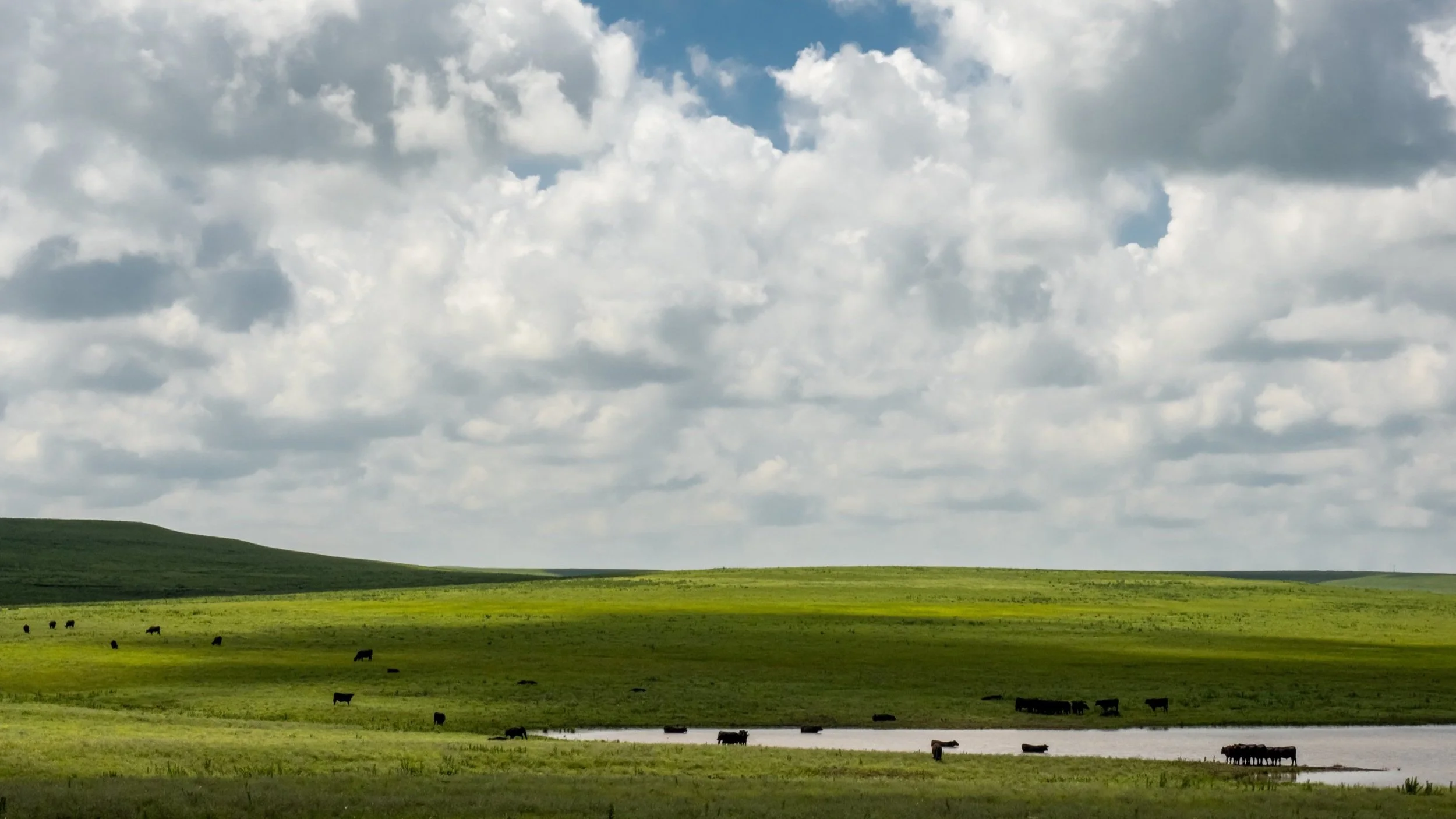 Kansas Land Trust