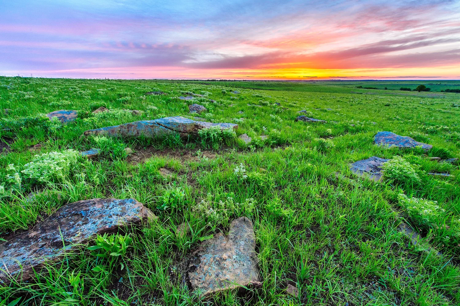 Kansas Land Trust